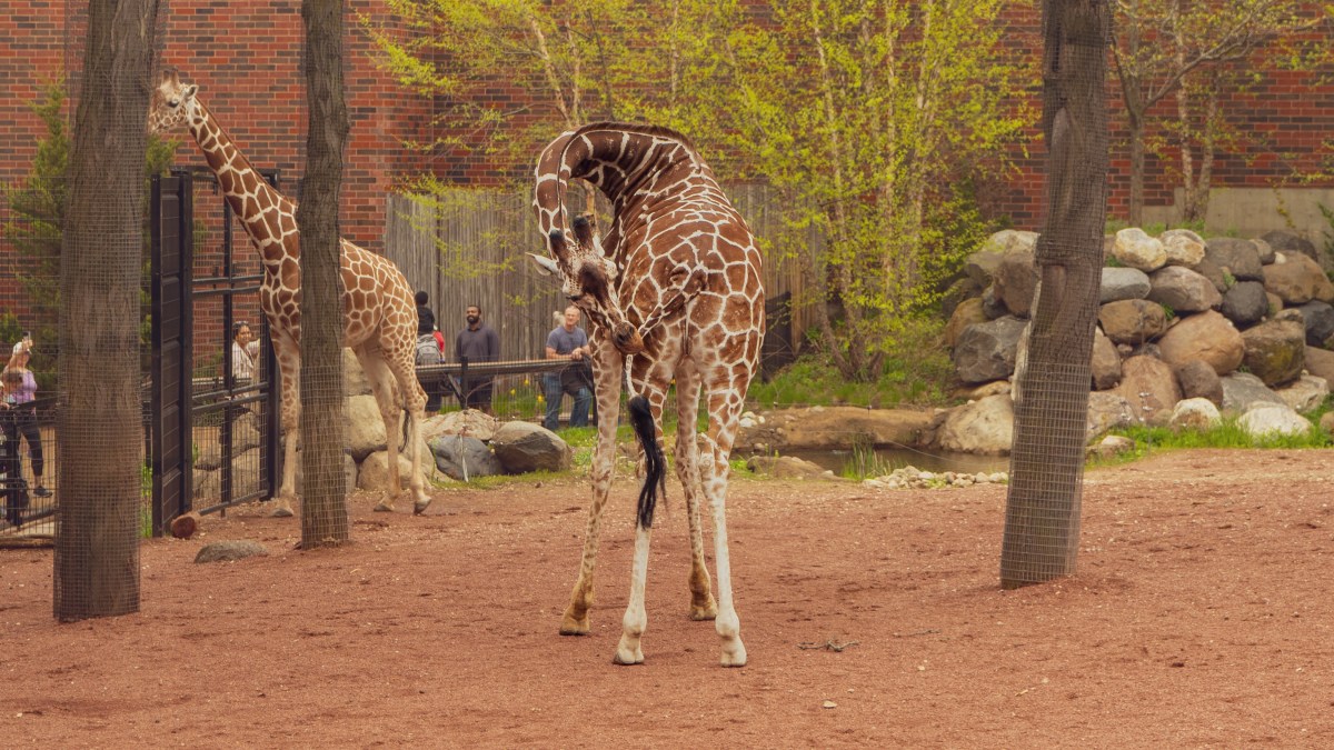 Awkward Angles – Onward & Awkward