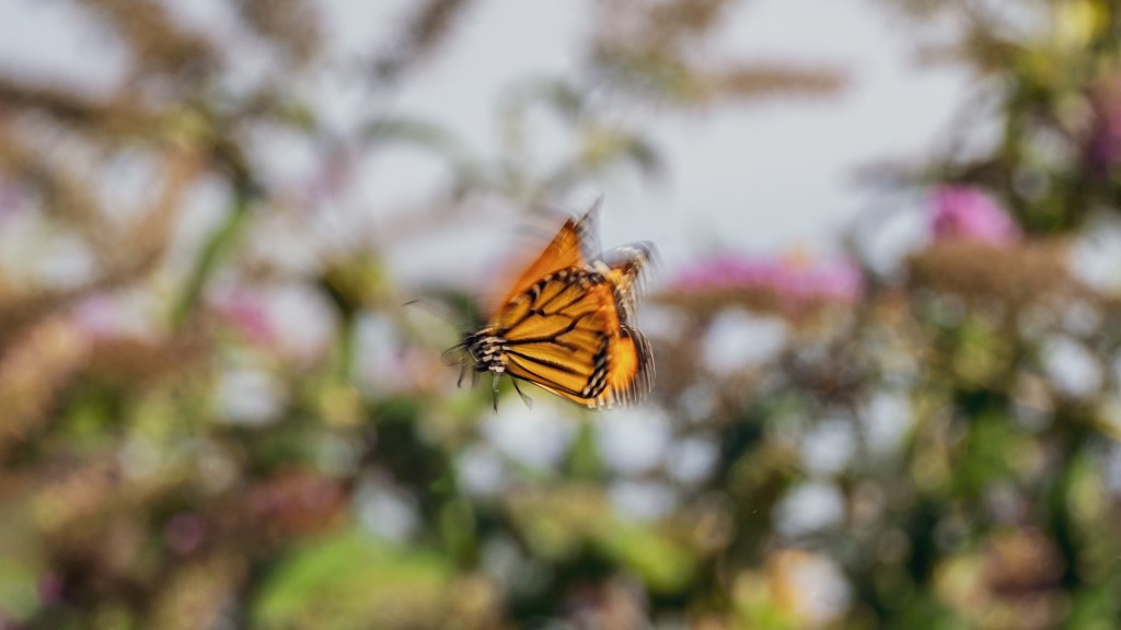 A Beautiful Blur – Onward & Awkward